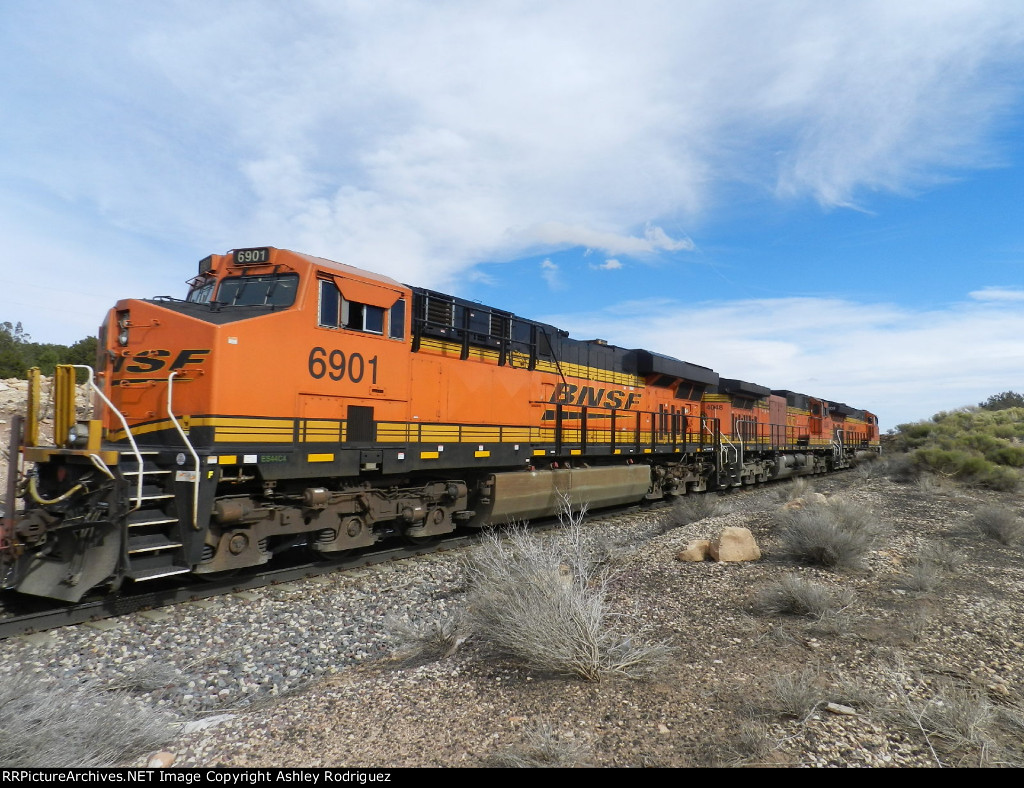 BNSF 6901